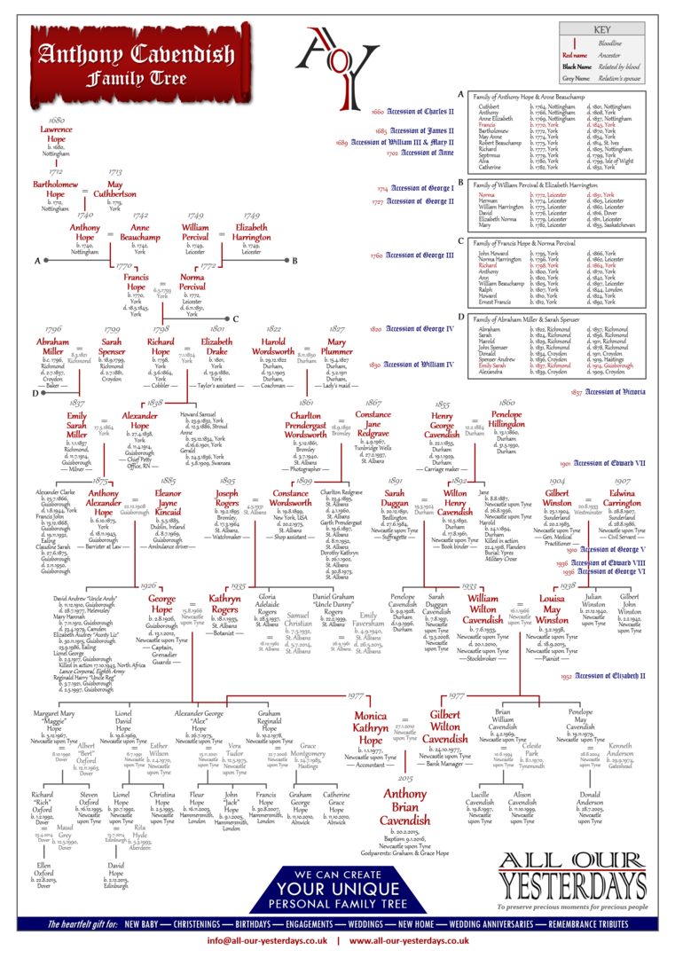 All Our Yesterdays - Family Tree Service - Sample